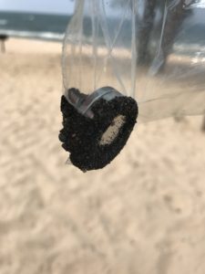Magnetite in the Lake Michigan beach sand near Grand Haven